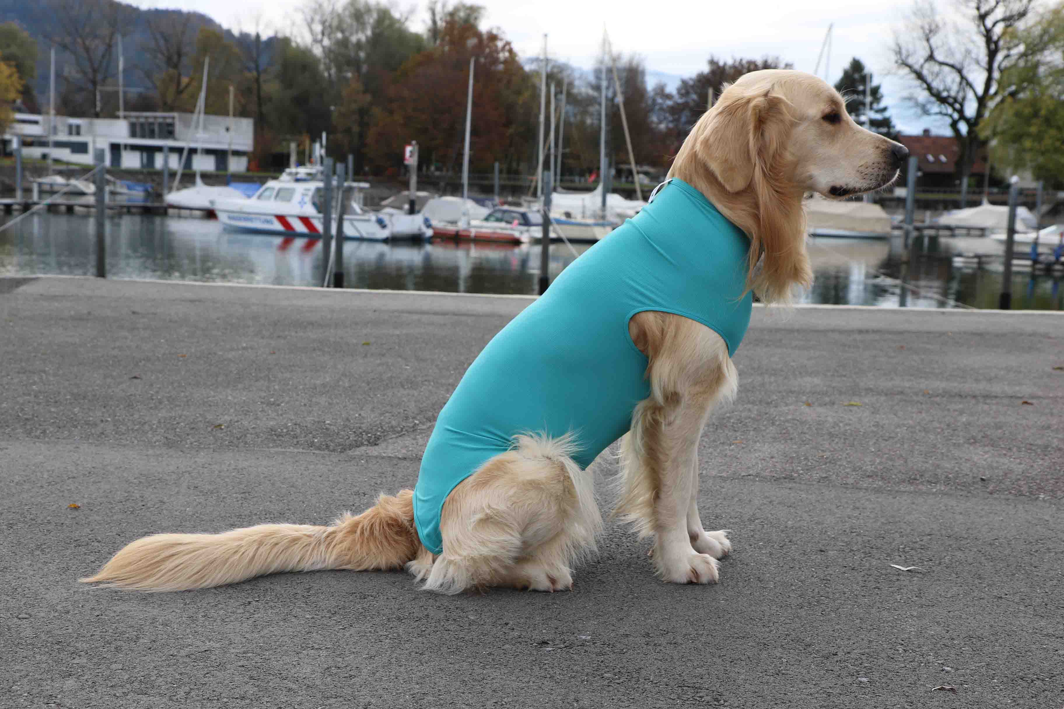 VetMedCare Bodies, uros